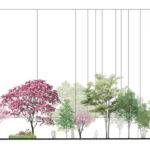 Revitalization of Republic Square LEVEL80 architects